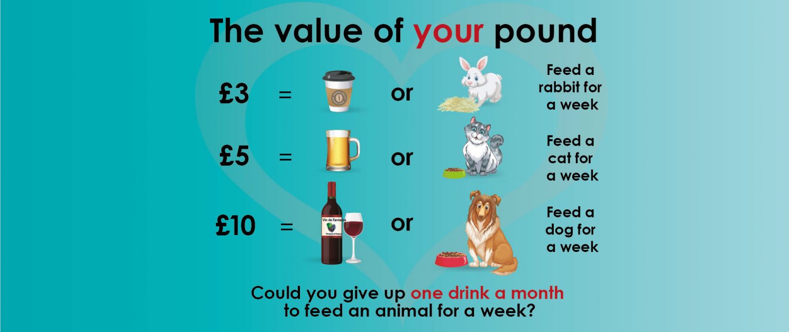 Donate – RSPCA Radcliffe Animal Centre