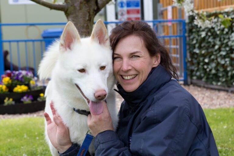 Adopt a pet – RSPCA Radcliffe Animal Centre