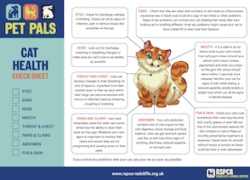Pet Health Check Sheets – RSPCA Radcliffe Animal Centre