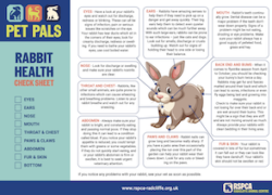 Pet Health Check Sheets – RSPCA Radcliffe Animal Centre